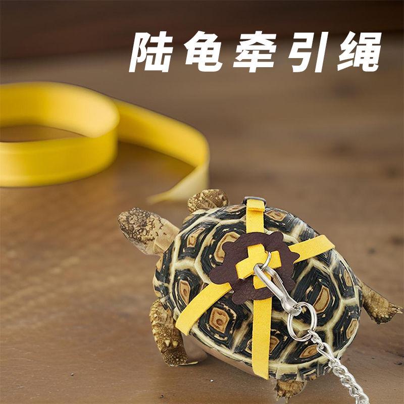 Tortoise Leash Walking Turtle Rope Outdoor Leash Harness Artificial - TikTok Shop Singapore