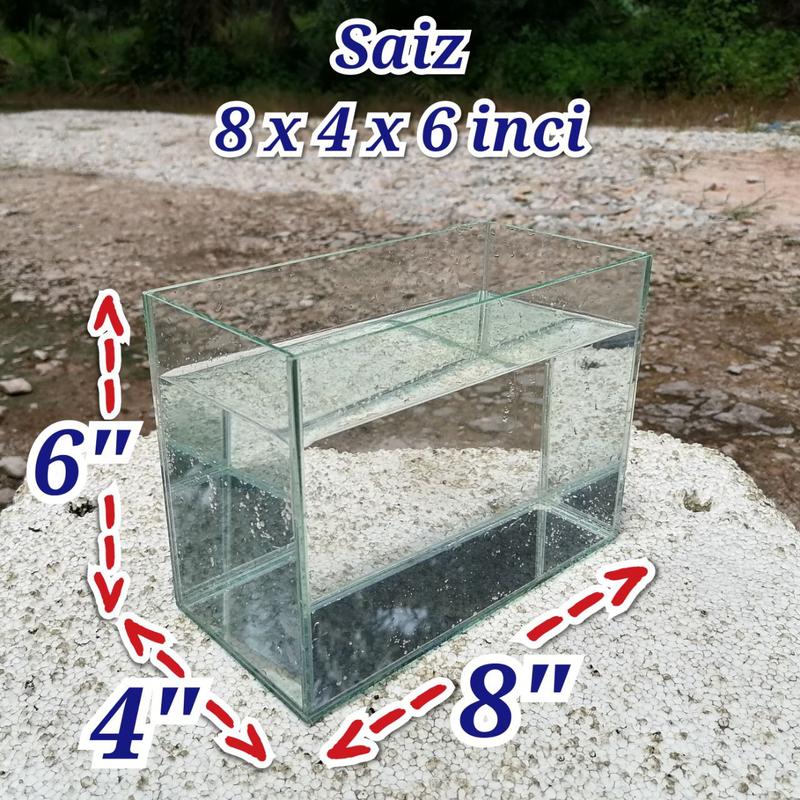 Saiz 8x4x6 inci Mini Akuarium Kaca - TikTok Shop Malaysia