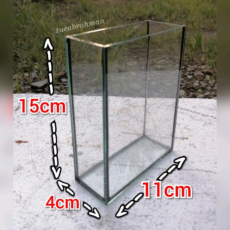 No1 Mini Akuarium Kaca Size 1.5x4.5x6 inci - TikTok Shop Malaysia