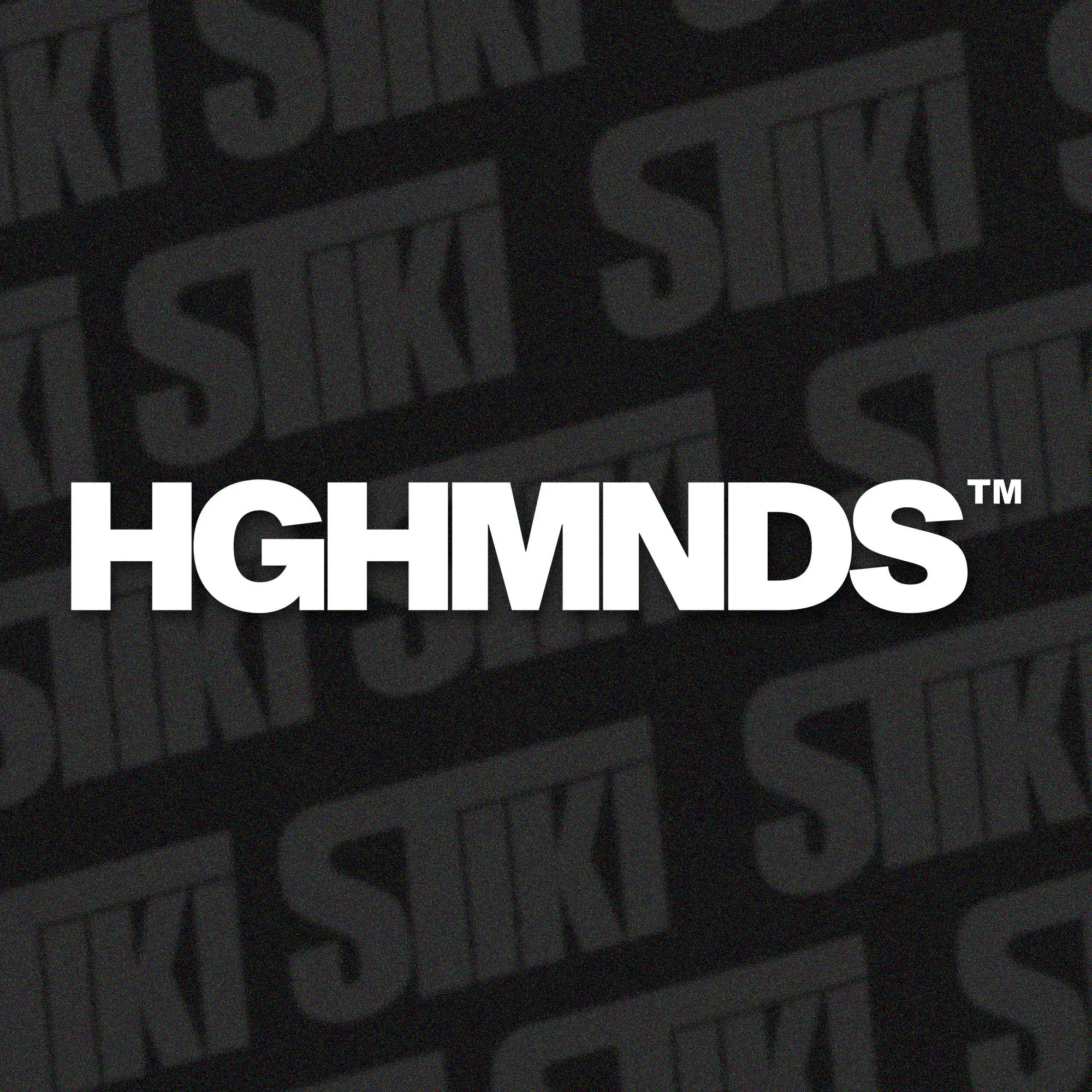 High Minds HGHMNDS Cut out Vinyl Sticker WATERPROOF Design 2 - TikTok ...