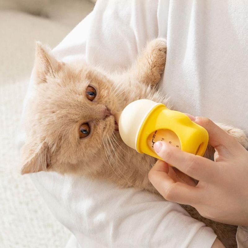 Penyuap Pacifier Kucing, 20 / 80ML, Botol Puting Anak Kucing - TikTok ...