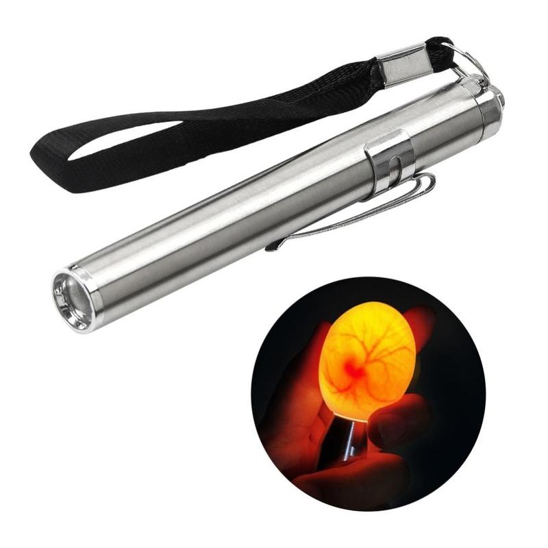 SH 1Pc Stainless Steel Incubator Eggtester Egg Flashlight LE - TikTok ...