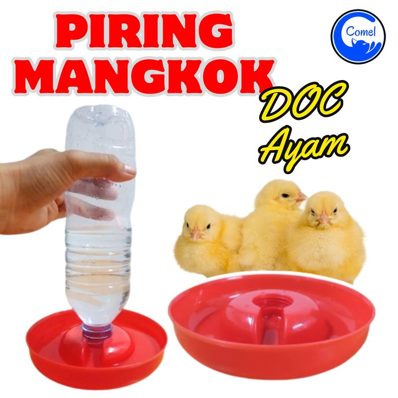 Piring Tempat Minum Ayam, Bebek, Burung Puyuh DOC, DOD, DOQ CHOMEL ...