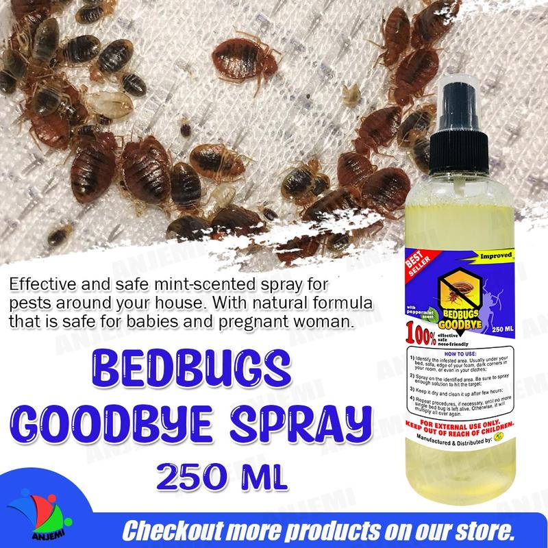 Pamatay Surot Spray 250ml Insect Spray, Eco-friendly - TikTok Shop ...