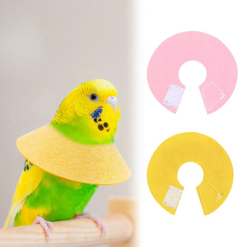 thfeng New Soft Microfiber Parrot Collars Anti-bite Breathable - TikTok ...