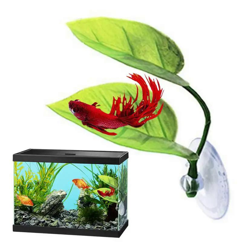 Resting Leaf Betta Hammock, Daun Beta, Hiasan Tangki Beta, Sesuai ...