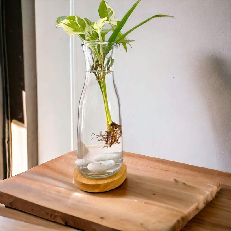 Vas bunga kaca bening tinggi estetik / Vas bunga aesthetic / - Shop ...