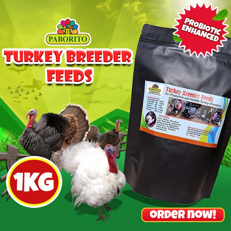 Probiotic-enhanced Turkey Breeder Feeds 1KG | Poultry Feeds - TikTok ...