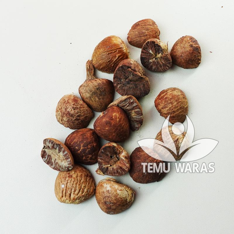 Buah Pinang atau Jambe Muda Kering 100gr - Belah - Shop | Tokopedia