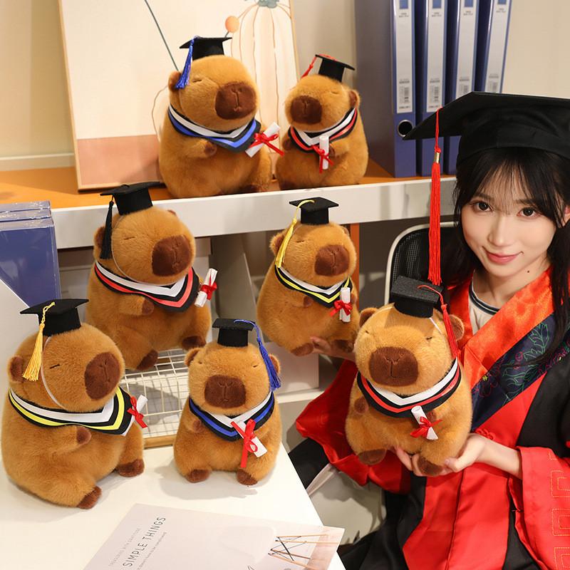 20cm Graduation Capybara Plush Toys Stuffed Soft Animal Doll - TikTok ...