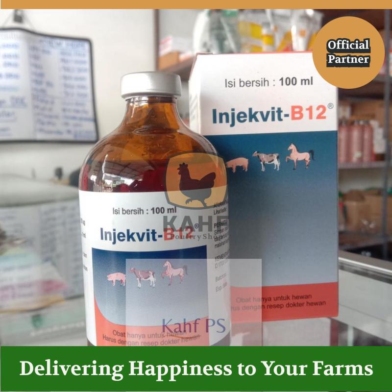 Injekvit B12 100 ml Injeksi Vitamin Hewan Kuda Sapi Domba Babi - Shop ...