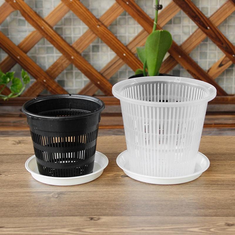 Wall Hanging Hole Grow Pot Clear Plastic Orchid Flower Planter - TikTok ...