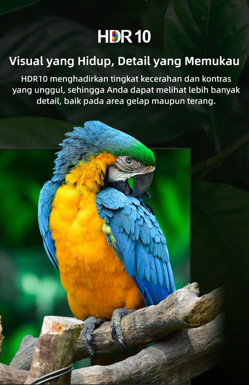 NEW CHANGHONG GOOGLE TV 32 Inch Smart TV Android Digital/WiFi/Netflix ...