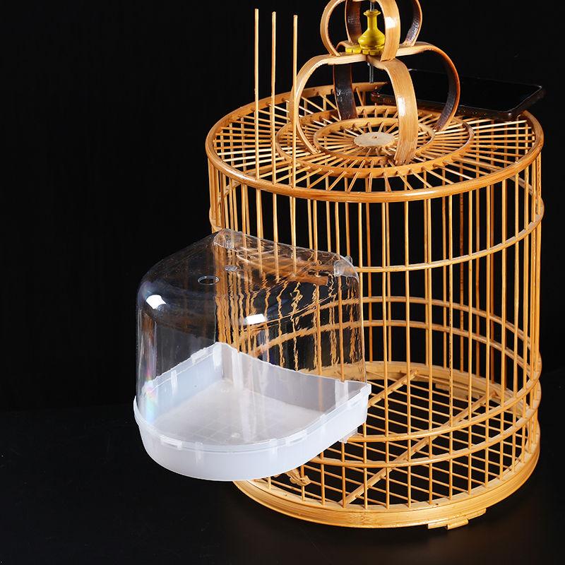 New Plug-in Bird Bath Box With Thrush Starling Indigo Chin Tiger ...