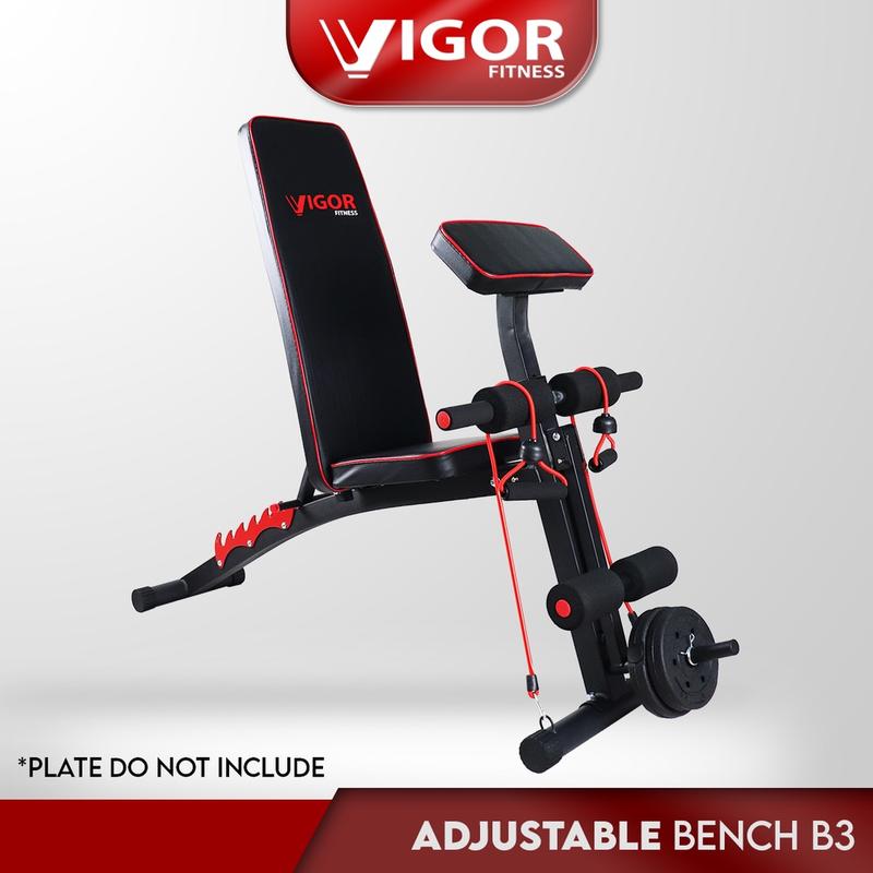 Vigor Fitness Adjustable Dumbbell Bench Gym Bench B3 / Vigor Fitness ...