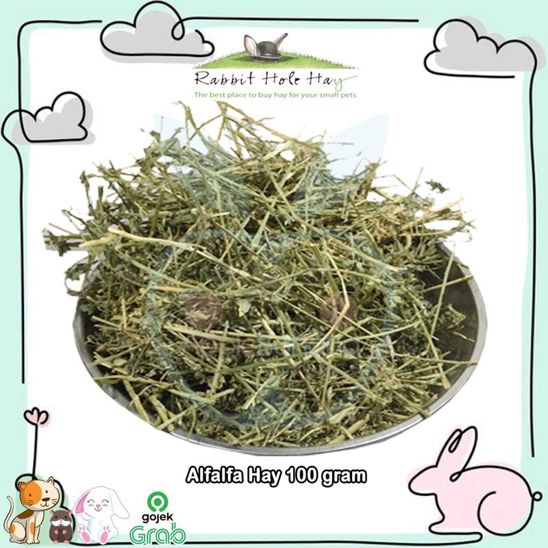 Alfalfa hay RHH 100 gr (rabbit hole hay) 100gr Rumput Hay Makanan ...
