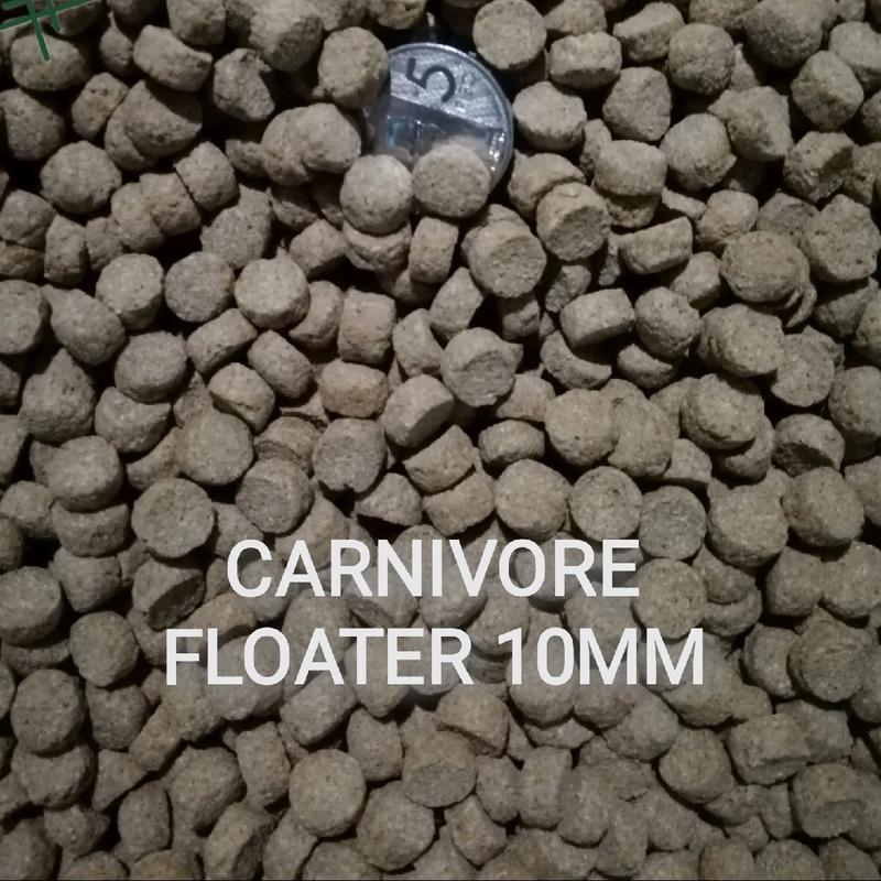 Carnivore High Pro Floater Fish Food 1kg - TikTok Shop Philippines