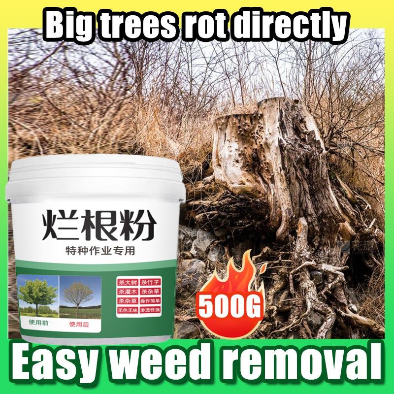 500g tree killer chemical Hexazinone root removal kill tree and ...