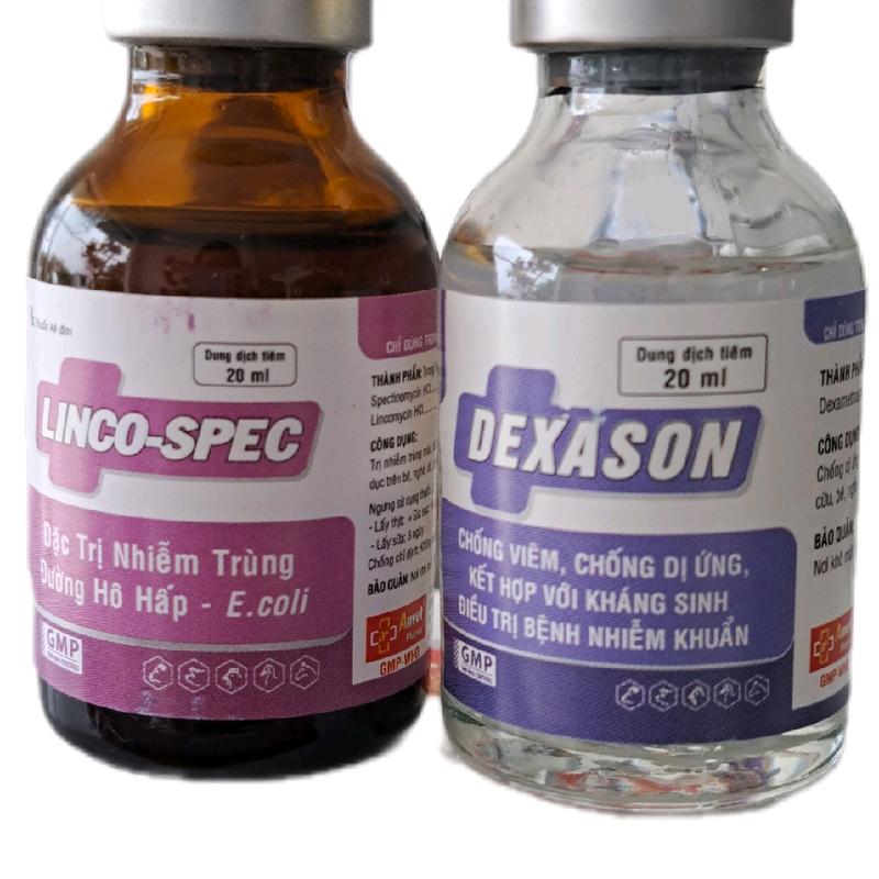 LINCO_ SPEC + DEXASON 20ML trị các bệnh nhiễm khuẩn đường hô - TikTok Shop Vietnam