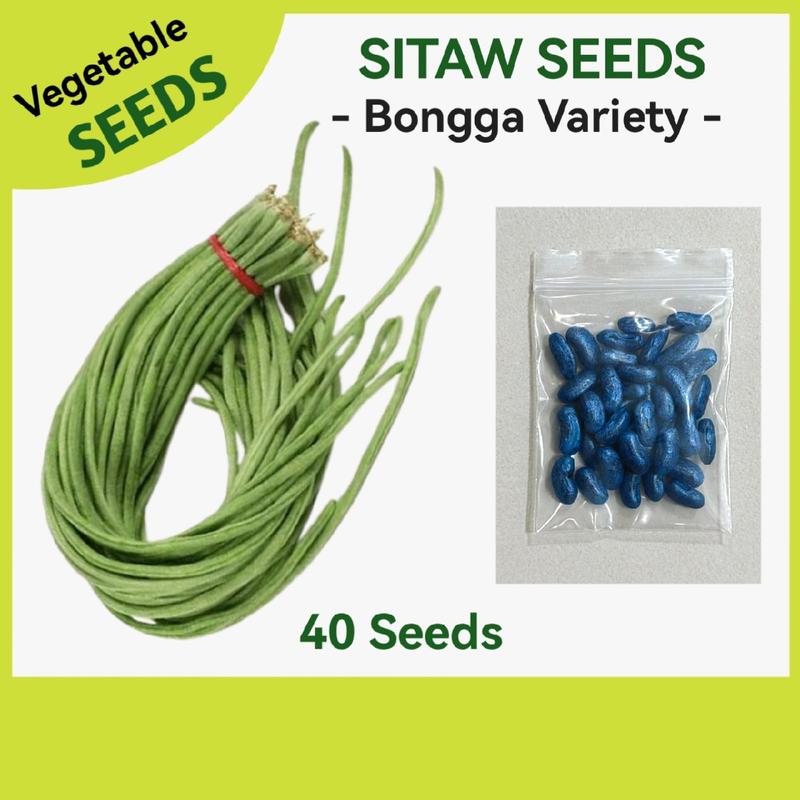 SITAW SEEDS - BONGGA Variety - High Quality Vegetable Seeds - TikTok ...