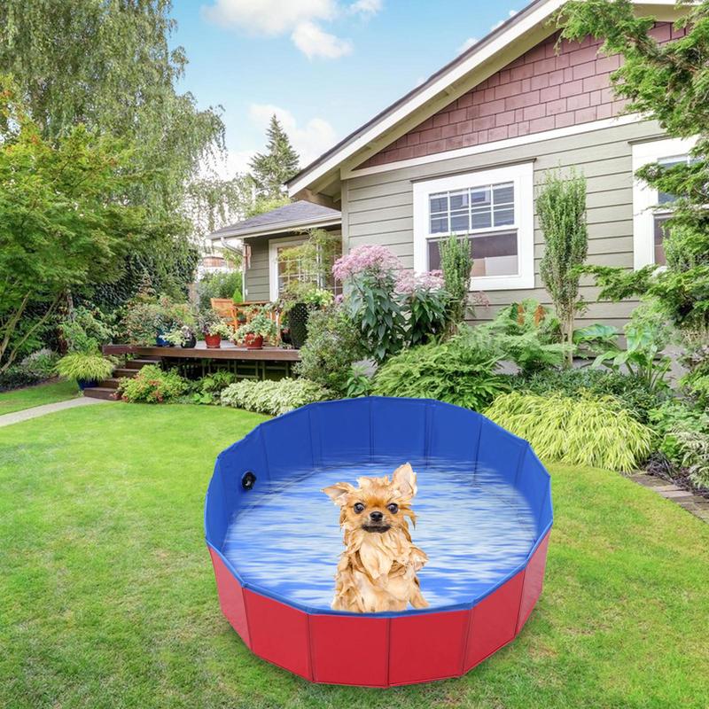 Swimming Pool For Dogs Bathing Tub Pet Wading Pool Dog Bath - TikTok ...