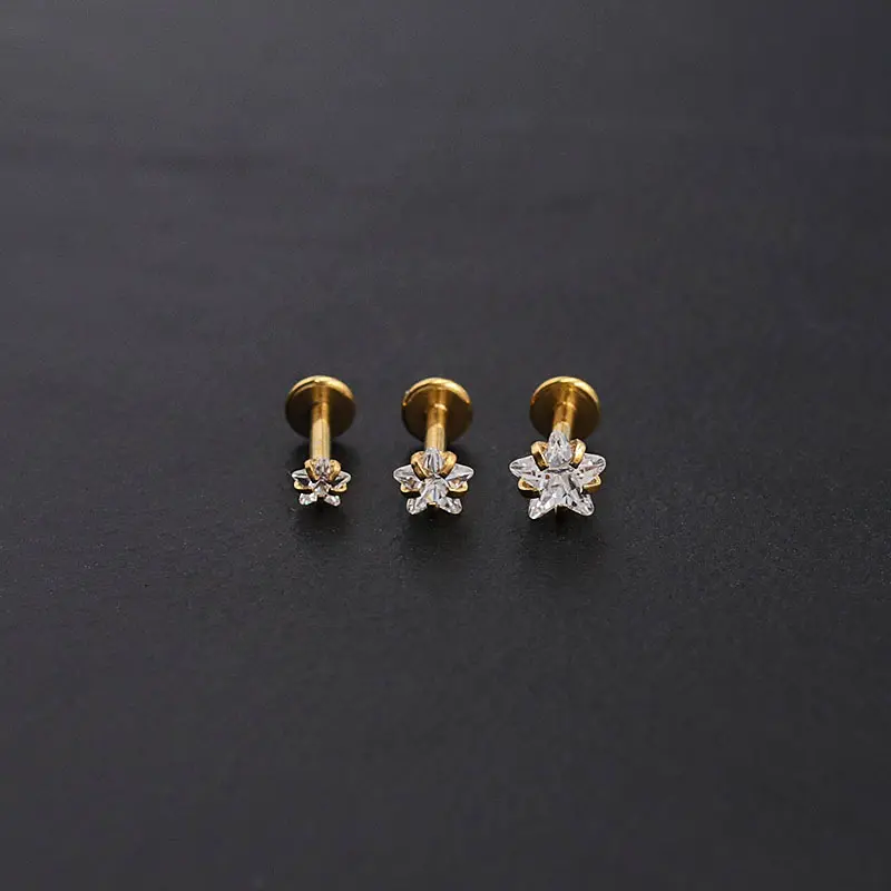Threaded Nose Ring & Lip Ring - Internally Threaded Titanium Steel ...