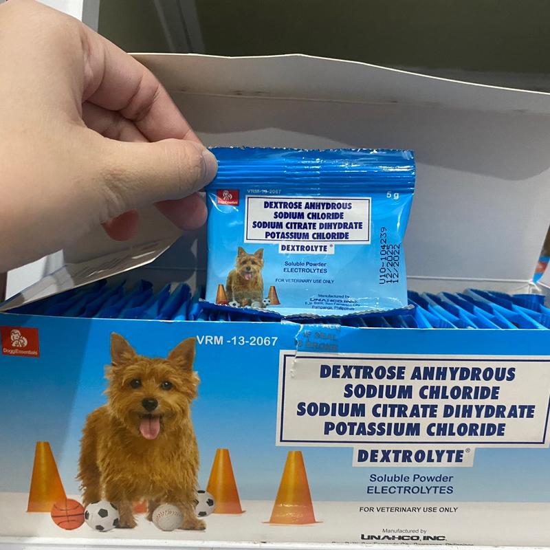 5g Dextrolyte Recovery Pack Dextrose powder for pets (1pc) - TikTok ...