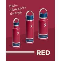 Jual Hydro Flask Limited Edition Campus Collection 21oz 24oz 32oz ...