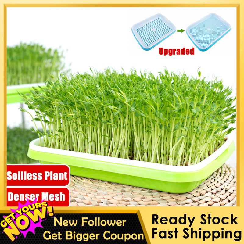 1 set double layer sprouts plate seedling tray planting dishes - TikTok ...