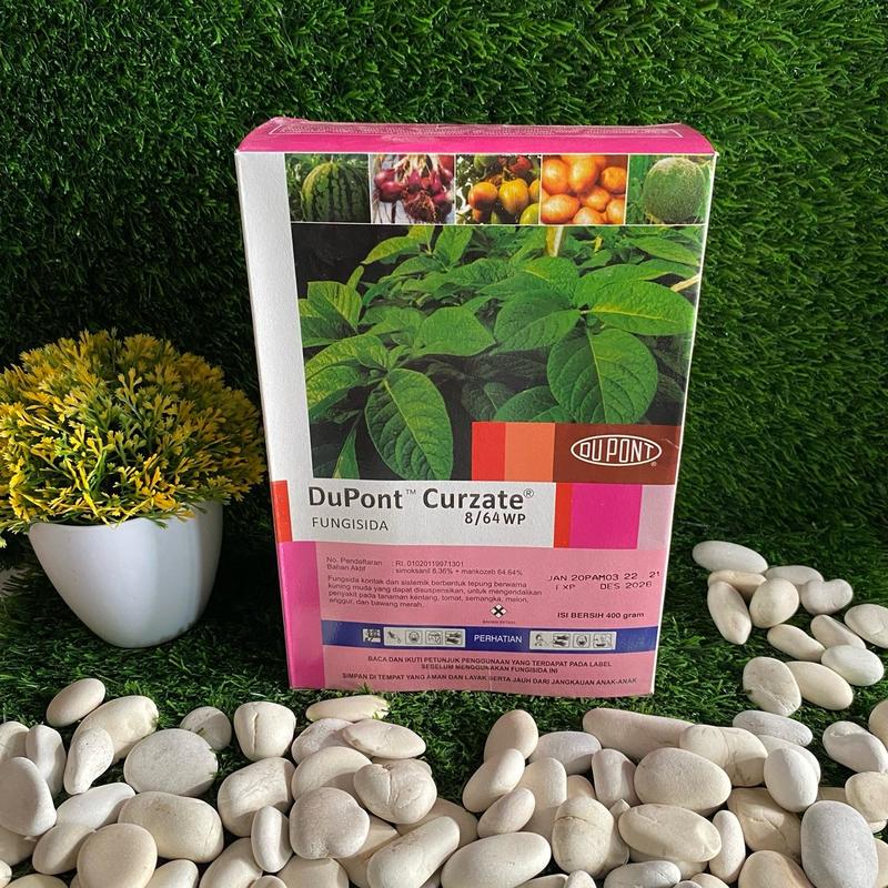 Dupont Curzate 8/64WP 400gr - Fungisida - Shop | Tokopedia