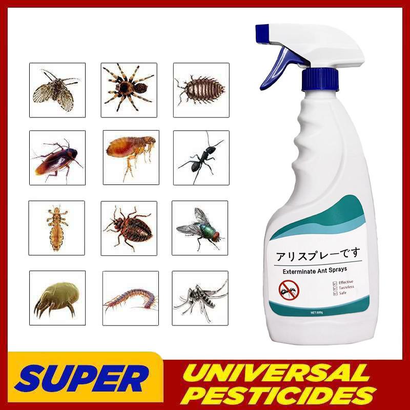 Hao Market 500ML household insecticide Natural herbal liquid - TikTok Shop Philippines