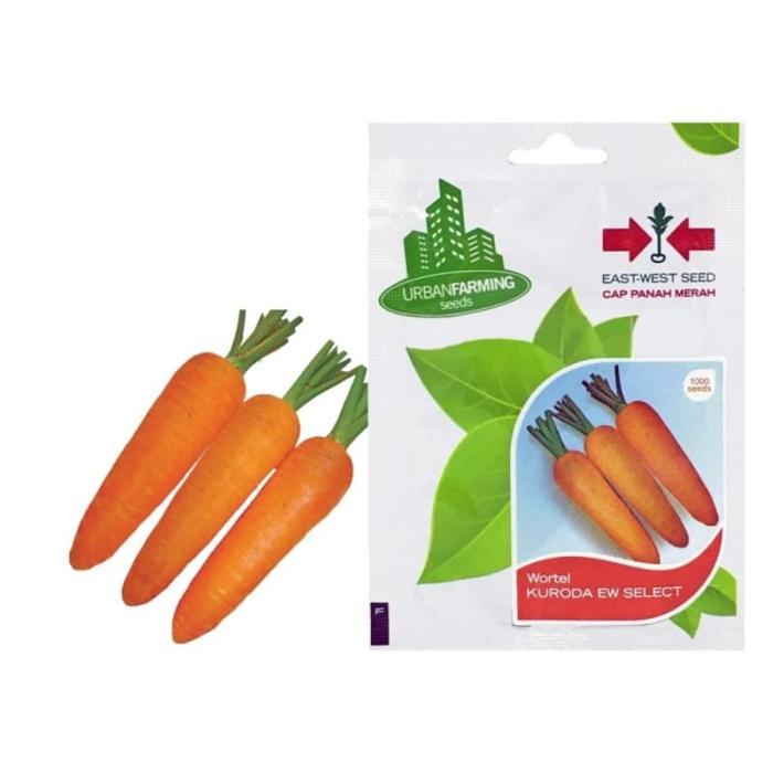 Jual Benih Bibit Sayuran Wortel isi 1000 seeds Kuroda EW Select Panah ...