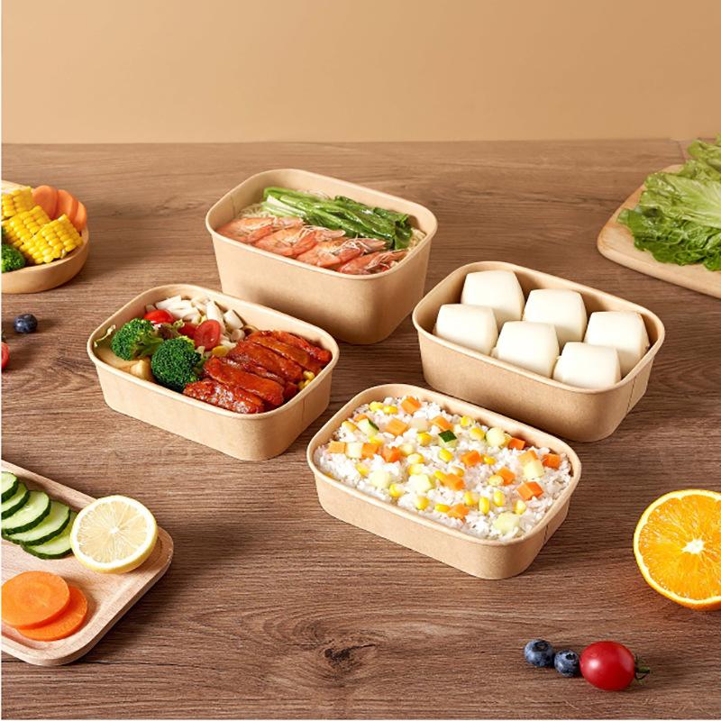 Environmentally Friendly Disposable Carton, Suitable for Picnic ...