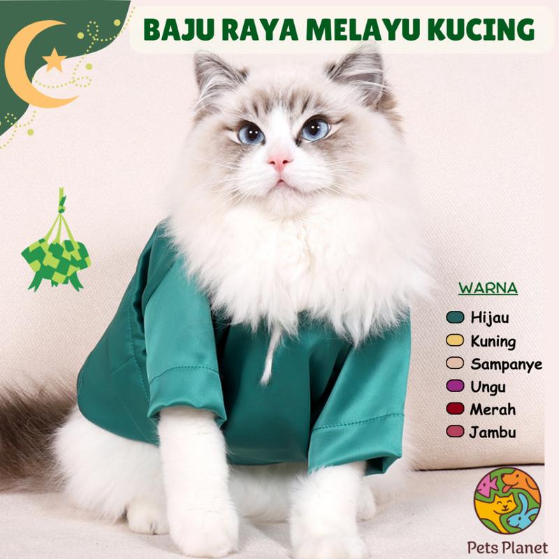 Baju Raya Kucing Melayu, Baju Melayu Baju Kurung, Kostum Kucing ...
