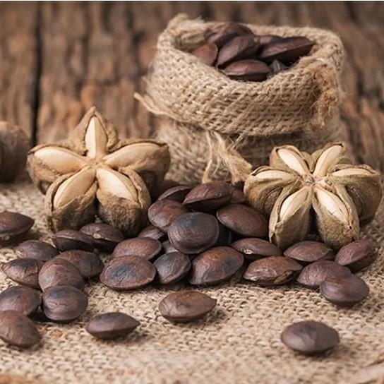 Sacha Inchi Seeds - Biji Benih Sacha Inchi - TikTok Shop Malaysia