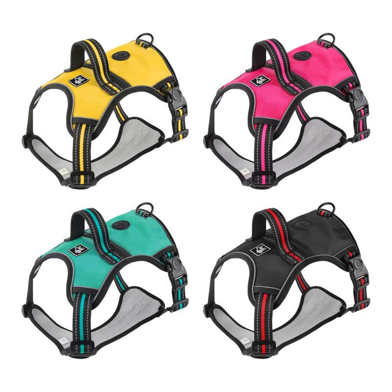 2025 New Dog Chest and Back Medium Large Dog Dog Leash Pet's - TikTok ...
