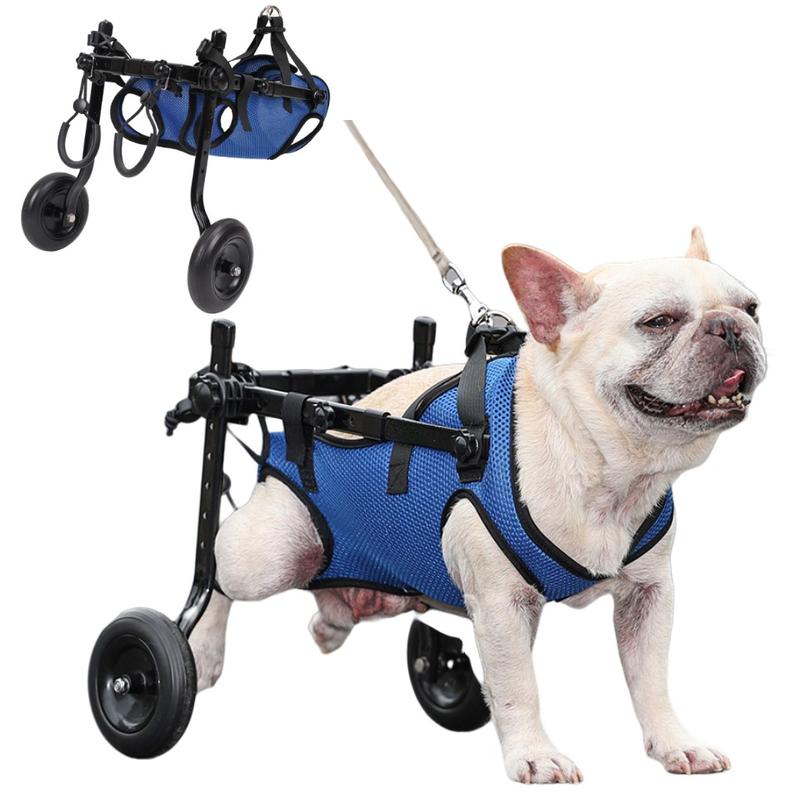 Disabled Dog Wheelchair Cart Adjustable Pet Mobility Aids with - TikTok ...