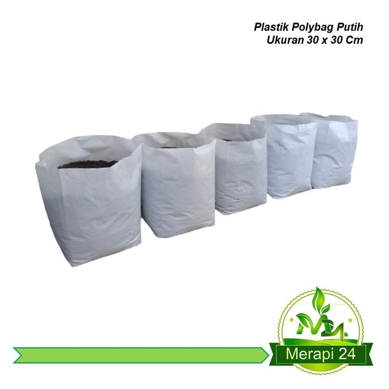 Plastik Polybag Putih Ecer 10 Lembar - Shop | Tokopedia