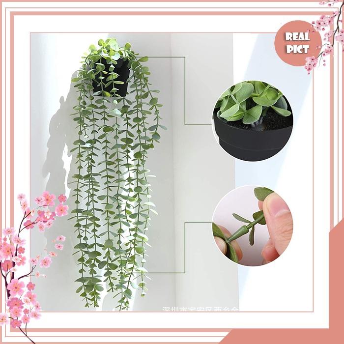 UNICO / COD / Daun Rambat Palsu Tanaman Hias Indoor Pot Bung - Shop ...