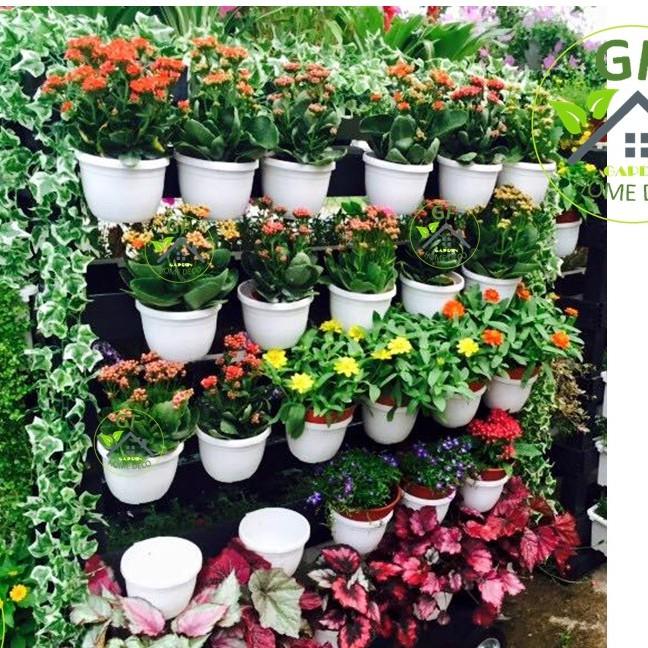 GFE1pcs VERTICAL HANGING ROUND FLOWER POT POT[WHITE] /pasu gantung ...
