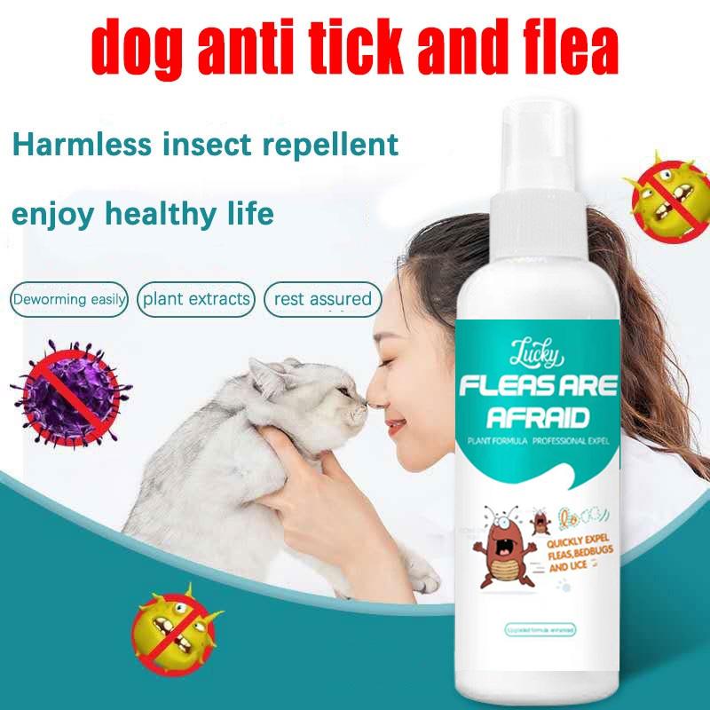Flea and Tick Remover for Dog and Cat Anti Garapata Remover for ...