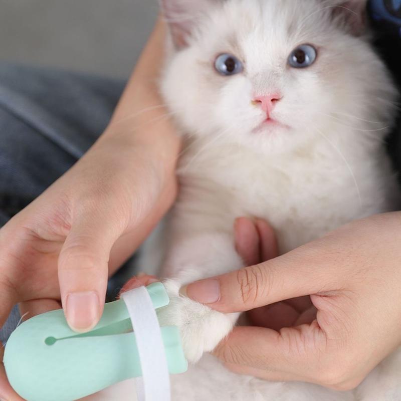 2025 Cat Scratch-Proof Cat Foot Covers Cat Claw Cat Shoes Ca - TikTok ...
