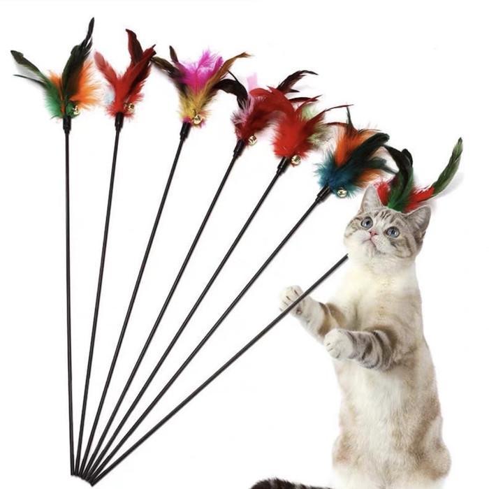 COUCOU MAINAN KUCING - TEASER STICK TAHAN LASAK Tahan lama - TikTok ...