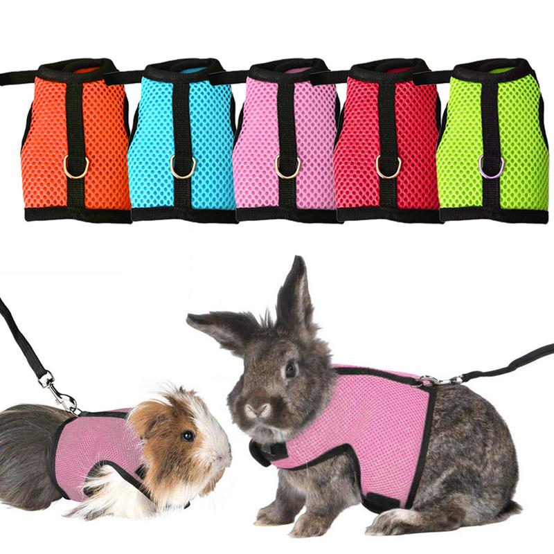 Breathable Pet Rabbit Mesh Soft Harness With Leash For Small - TikTok ...