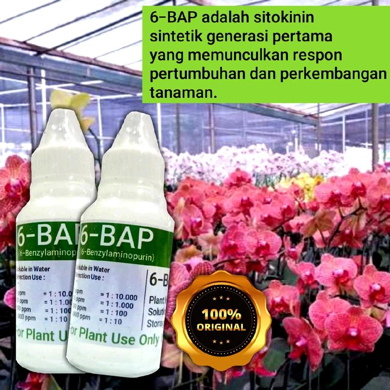 6 BAP hijau hormon anggrek 30ml tetes anggrek - Shop | Tokopedia