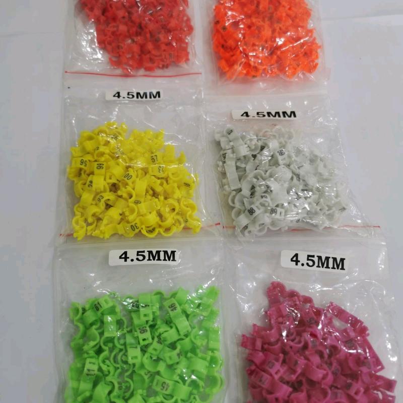 RING KLIP BUAT SEMUAR BURUNG 20pcs - Shop | Tokopedia