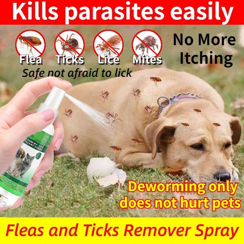 Tick and Flea Spray Anti Tick Garapata Dog Spray for Ticks Garapata ...