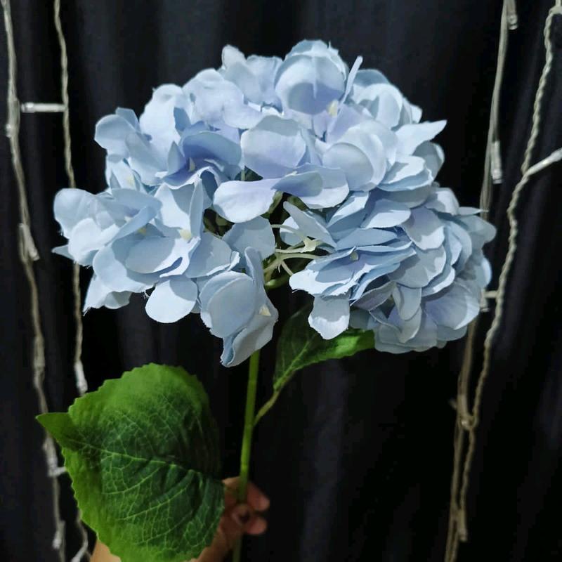Bunga Hortensia Jumbo Eceran Per Tangkai - Dekorasi Pernikahan - Shop ...