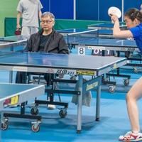 Jual promo spesial Table Tenis Meja Pingpong Tenis Meja Double Fish ...