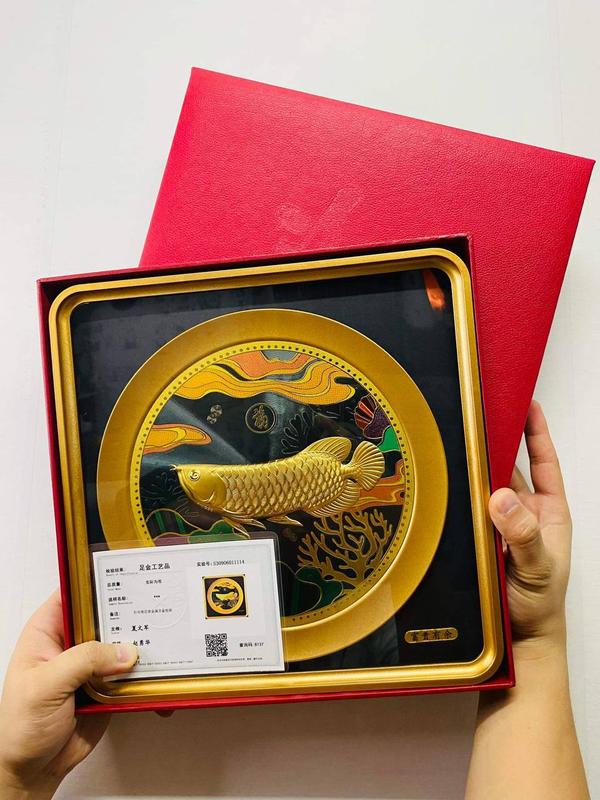 Arowana Lucky foil Display Frame Wealth Health Wall-mounted - TikTok ...